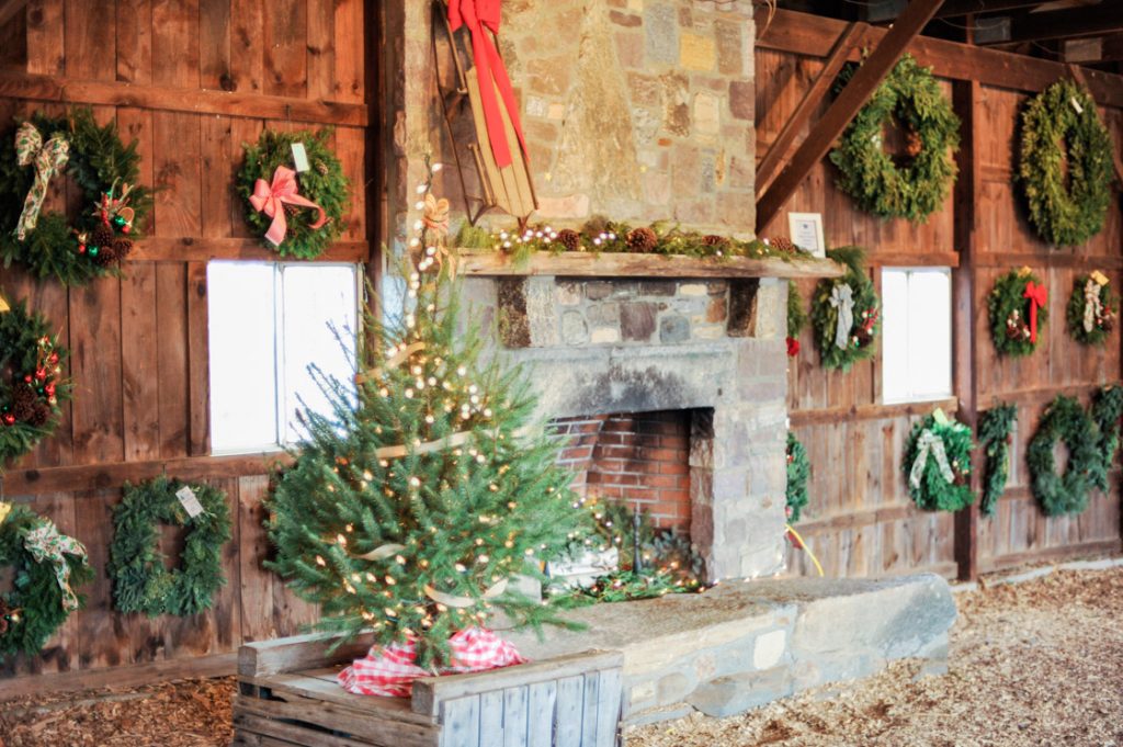 Jones Tree Farm Connecticut - Oh So Glam